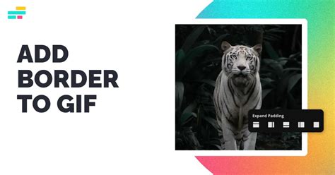 Add Border To  Online — Kapwing
