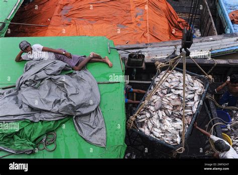 28062014 Yangon Myanmar Asia Workers Unload Fresh Caught Fish