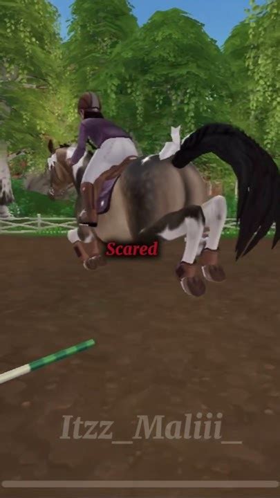 Nd So Gut Geworden😔 Myb Lust Auf Fantreffen Sso Edit Sso Edit