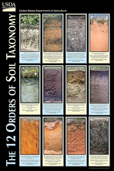 Twelve Orders Of Soil Taxonomy Poster Soil Classification Soil My Xxx Hot Girl Twelve Orders Of Soil Taxonomy Poster Soil Classification Soil My Xxx Hot Girl