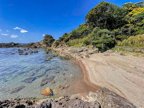 【南伊豆の海を本気で遊べるキャンプリゾート＆素泊まり民宿】2023年6月8日グランドオープン！海まで0分のプライベートビーチがある「alica
