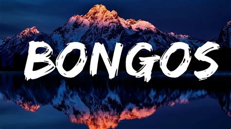 Cardi B Bongos Lyrics Ft Megan Thee Stallion 25 Min Youtube