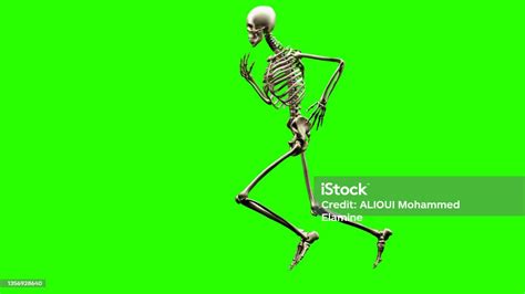 달리기 남자 근육 및 뼈 해부학의 근육 시스템의 3d 그림 실행 하는 동안 인간의 신체 및 스포츠 조깅 러닝 맨 의학적으로 정확 한 피트 니스 3d 렌더링 0명에 대한 스톡