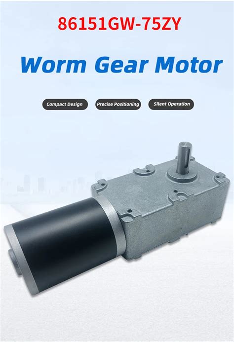 영구 자석 낮은 Rpm 12v 24v Dc 웜 기어 모터 수평 모터 롬셰라 일렉트로리카 웜 기어 기어 박스 미지 모터