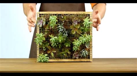 Tuto pour fabriquer votre cadre végétal avec JARDILAND DIY Tableau
