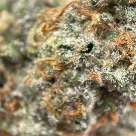 Indica Flower Collection Premium Indica Strains