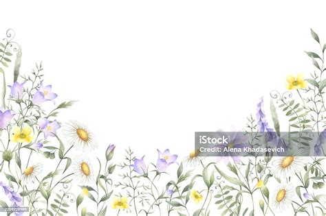 수채화 야생화 카모마일 도라지 미나리아재비 쥐 완두콩 초원 풀 손으로 그린 노란색과 라일락 꽃의 고립 된 사각형 프레임으로 초대장 엽서 카드에 대 한 복사 공간 0명에 대한