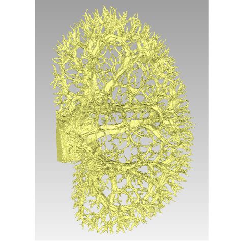 Using Virtual Reality Headsets For Visualization Of Voxel Based