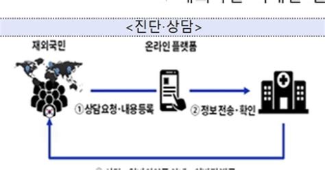 비대면 진료 재외국민 대상 법제화로 확산 기대