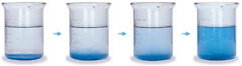 금성출판사 티칭백과