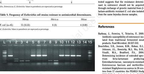 Polymerase Chain Reaction Detection Of Blatem Gene In Escherichia Coli