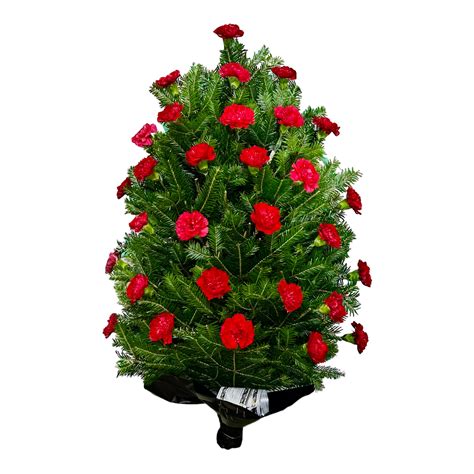 Jerba Naturala Z12 Fabrica De Coroane