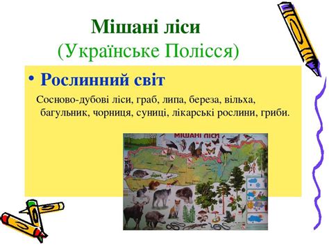 Природні зони України Природознавство 4 клас Презентація