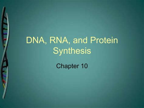 Chapter 10 Notes Ppt