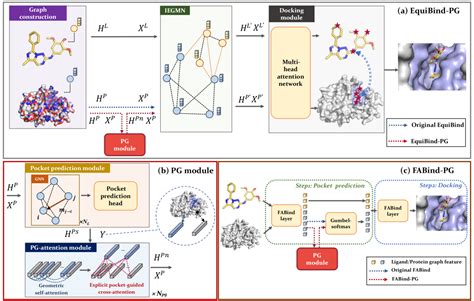 Briefings In Bioinformatics Pgbind Pocket Guided Explicit Attention