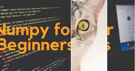 List Numpy Curated By Necati Akyilmaz Medium