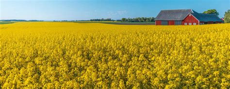 Logic Model Planning Process Nifa