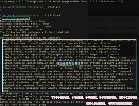 Ubuntu初始化换清华源方法apt使用ibus拼音输入法 我们的科技如此多分