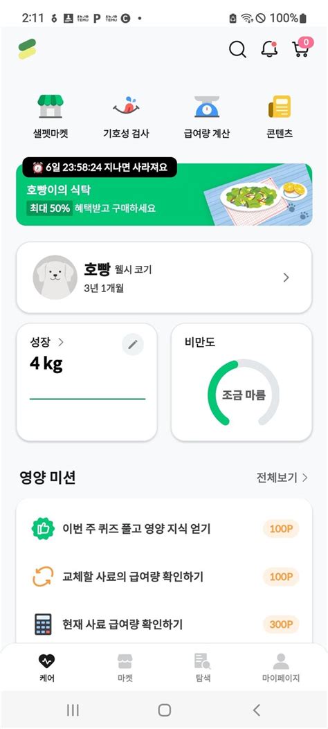 올해 최고의 사료는” 샐러드펫 수상 제품 발표