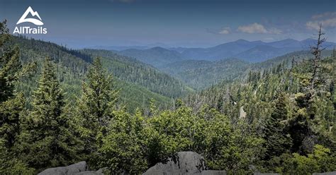 treehouse trails list alltrails