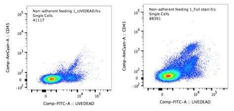 How To Identify Living Dead And Apoptotic Cells With Flow Cytometry