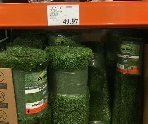 Pregra Fescue Turf