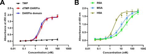 Elisa Analysis Of Binding Affinity Of Dtmp Darpin Fusion Protein For