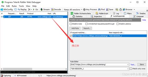 第二十一种：fiddler Autoresponder修改返回本地数据fiddler Csdn专栏