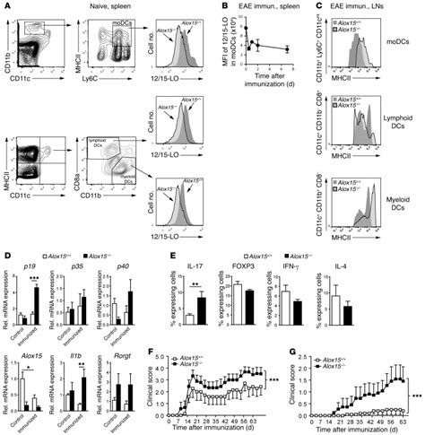 12 15 Lipoxygenase Mediated Enzymatic Lipid Oxidation Regulates Dc Maturation And Function Pmc
