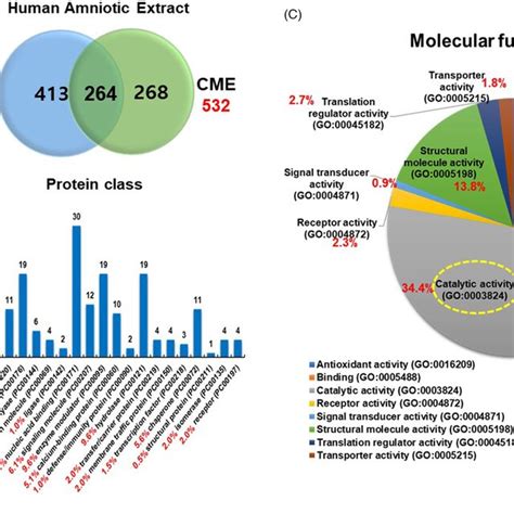 Molecular Functions And Protein Class Of Cme Components A Venn