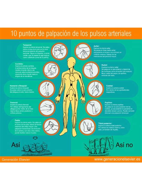 Diferentes Tipos De Pulso Pdf