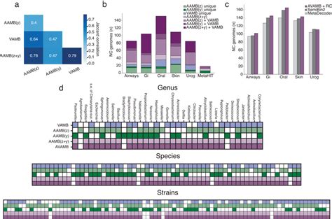 AAMB And VAMB Reconstructed Genomes Analysis And Integration With