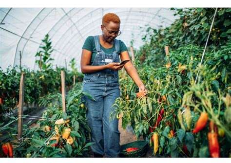 Investing In Tech Can Be A Game Changer For Rural Communities Food
