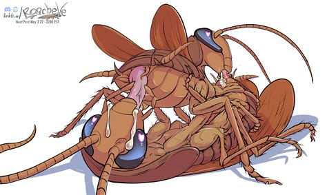Rule 34 Antennae Anatomy Arthropod Arthropod Abdomen Arthropod