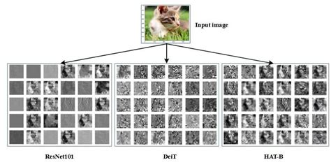 The Visualization Comparison Of Linear Projection Features Of Hat B