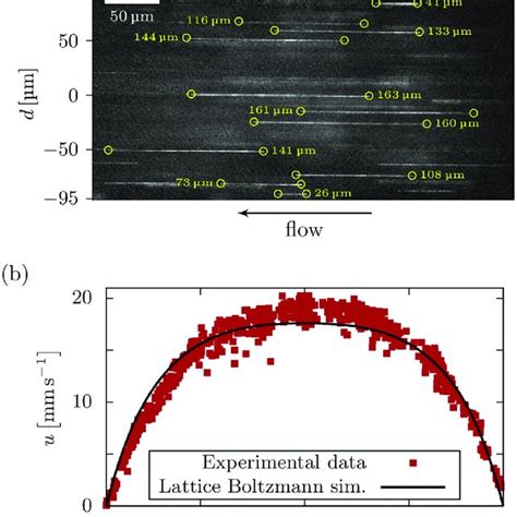 Validation With Experimental Flow Measurements Experimental Download Scientific Diagram