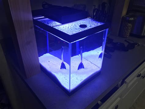 Aio Build Pico Or Aio Tanks Lets See Them Page 2 Reef2reef