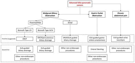 The Role Of Endoscopy In The Palliation Of Pancreatico Biliary Cancers Biliary Drainage