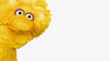 Big Bird Blank Template Imgflip