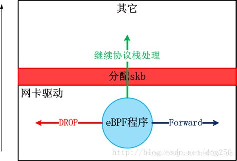 初识xdp