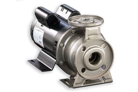 Ebara 3u Stainless Steel End Suction Centrifugal Pump Bbc Pump And