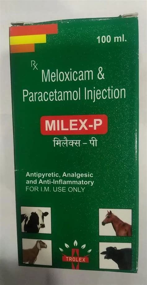 Meloxicam Paracetamol Injection At Rs 57 Vial Meloxicam And