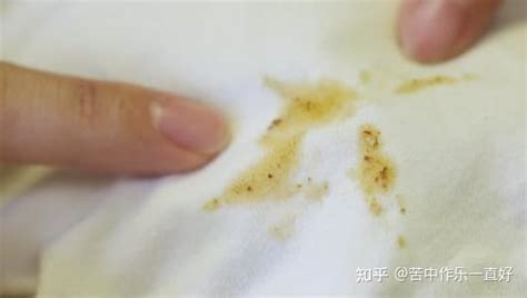 衣服上很久很顽固的油渍几个小妙招帮你轻松解决 知乎