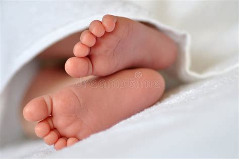 Ноги младенца в белом полотенце Стоковое Изображение изображение