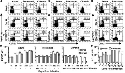 Dynamics Of Cd127 Expression On Virus Specific T Cells The Expression Download Scientific