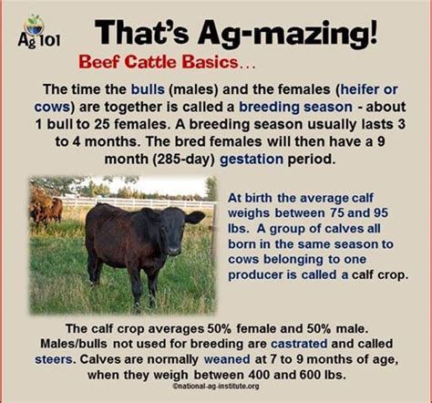 Dairy Farming Facts Farm House