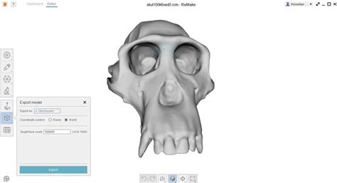 How To Convert A Mesh Or Scan Data Into A Workable T Spline