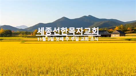 세종선한목자교회 주일광고 11 3 Youtube