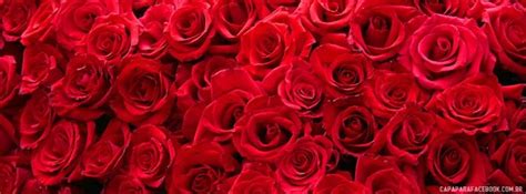 Rosas Vermelhas Papel De Parede Rosa Rosas Lindas Imagens De Rosas