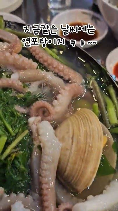 연포탕 국물소주를 어떻게 참아 Youtube